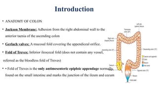 Anatomy of colon and rectum-Dr Mudassir Khan.pptx