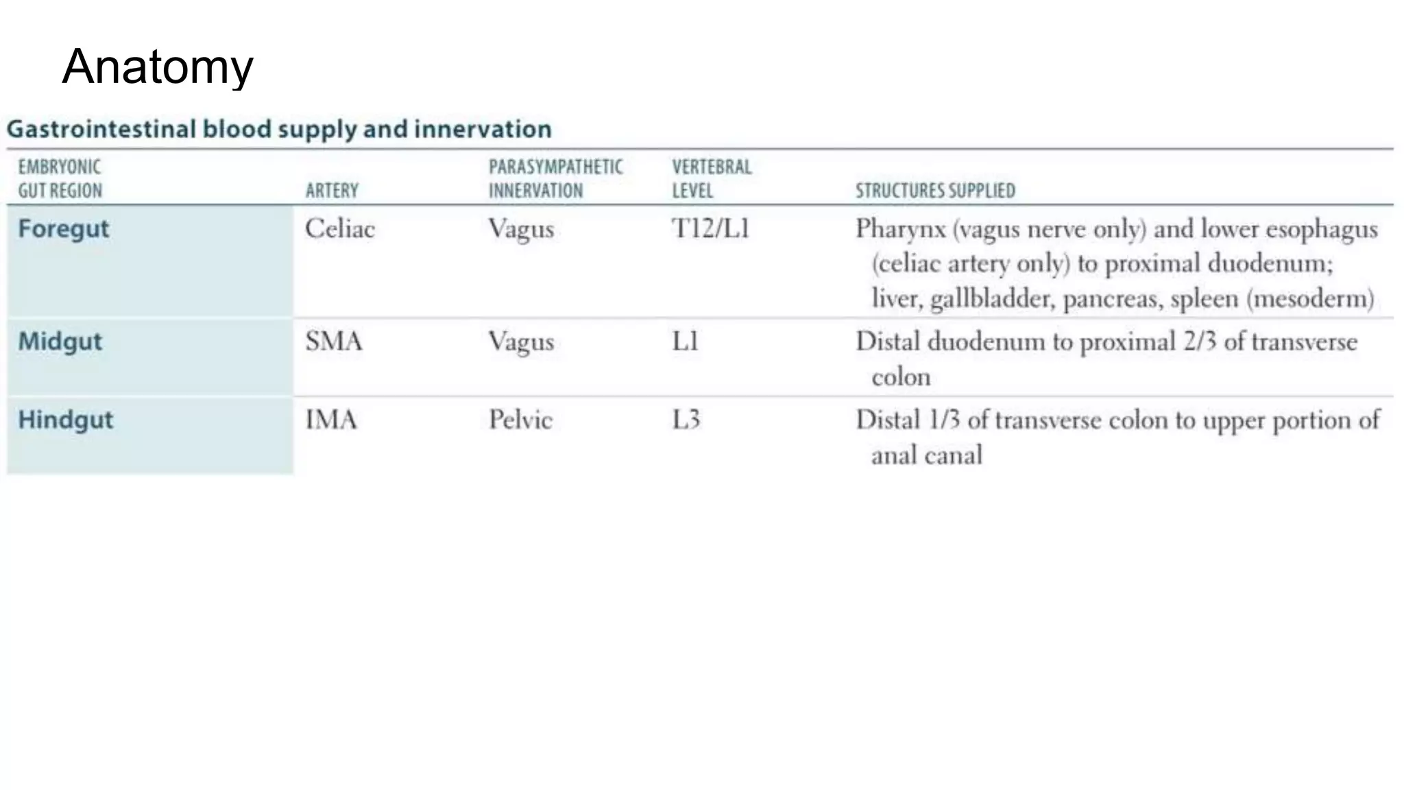 Anatomy of colorectal.pptx