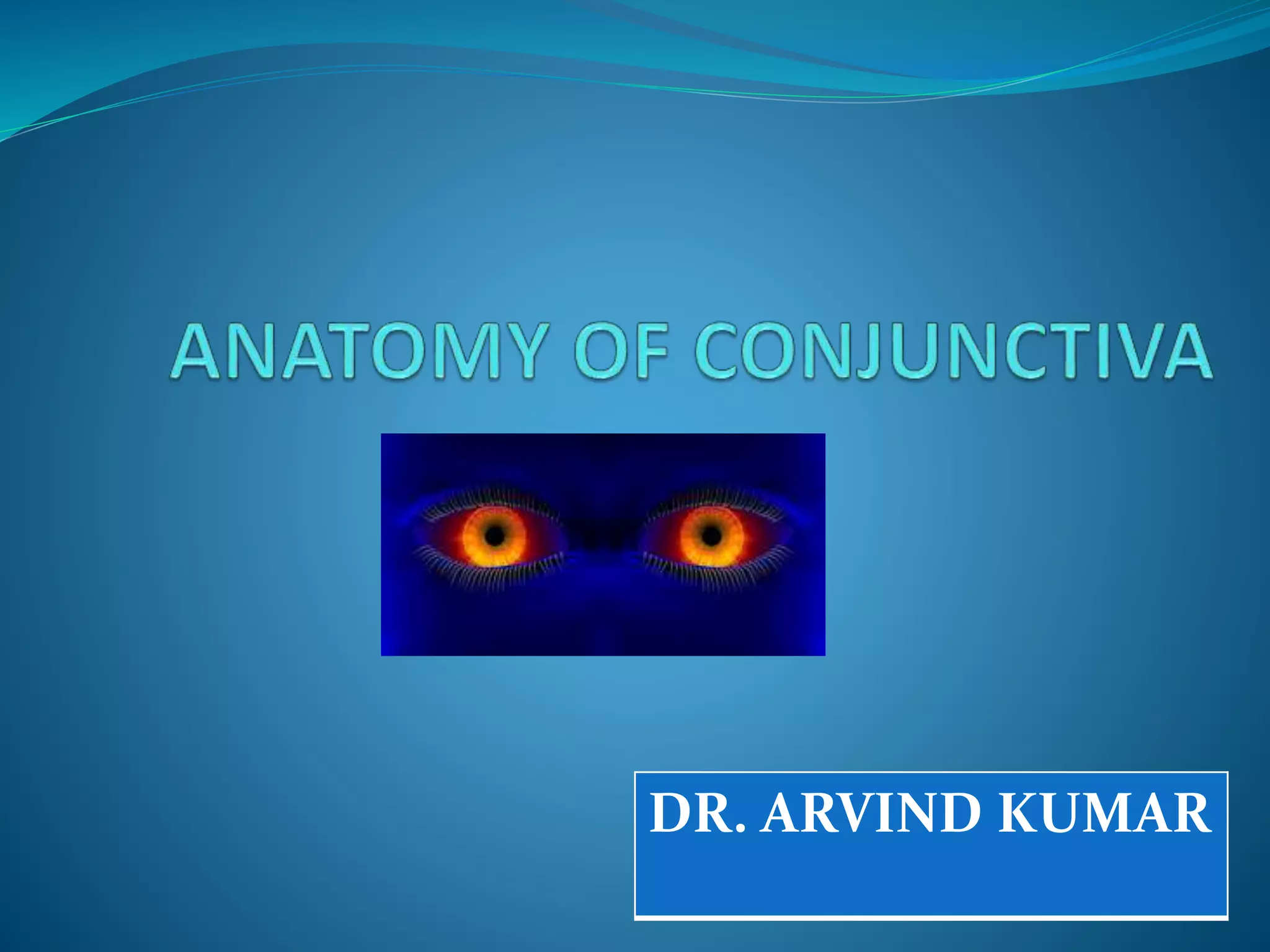 Anatomy of conjunctiva | PPTX