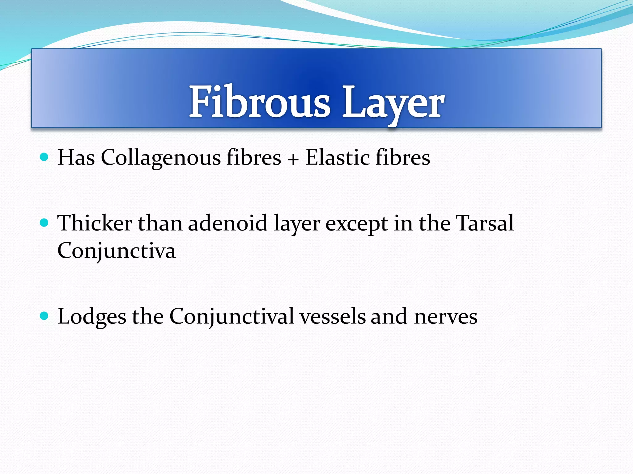 Anatomy of conjunctiva | PPTX