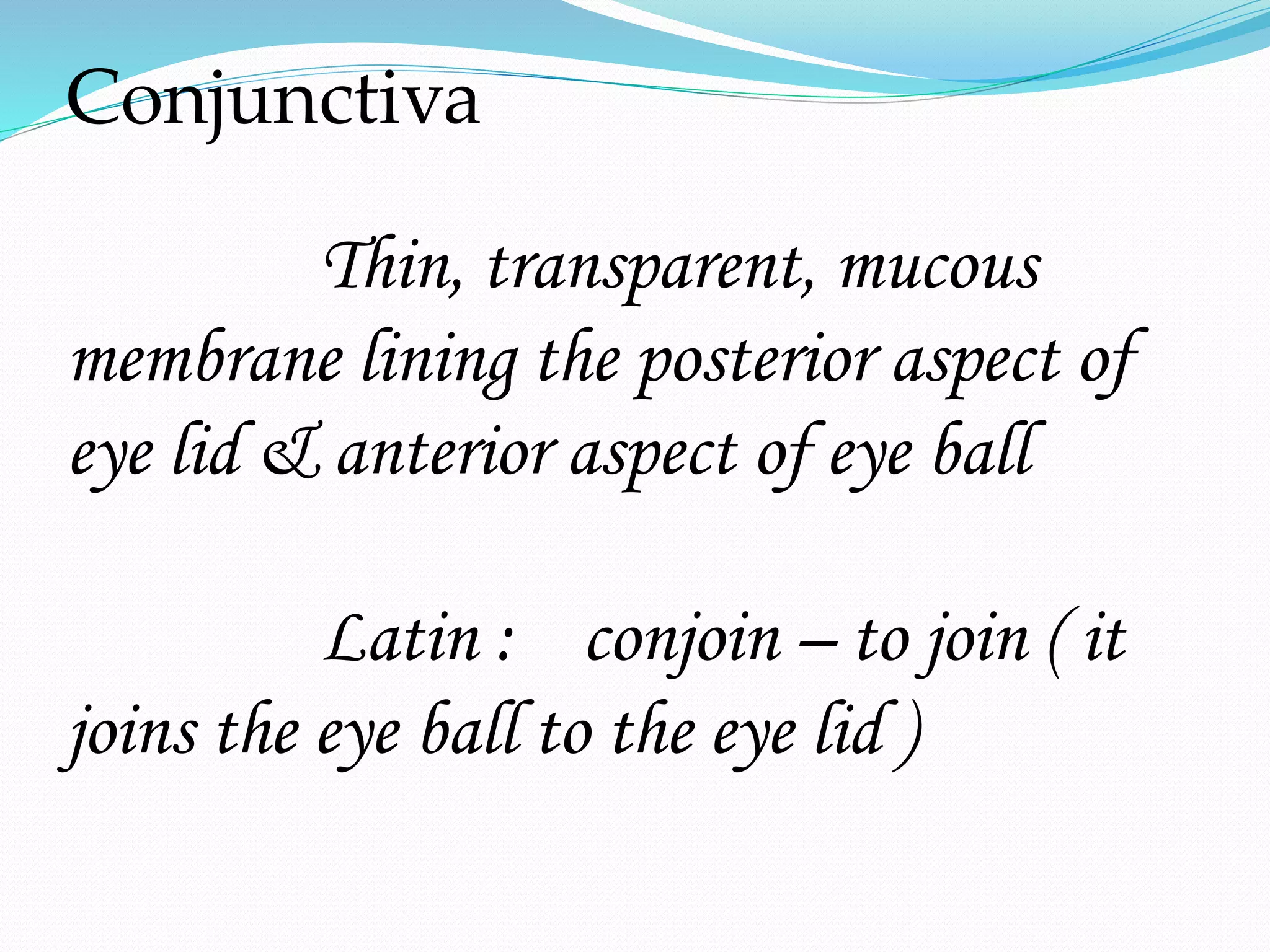 Anatomy of conjunctiva | PPTX
