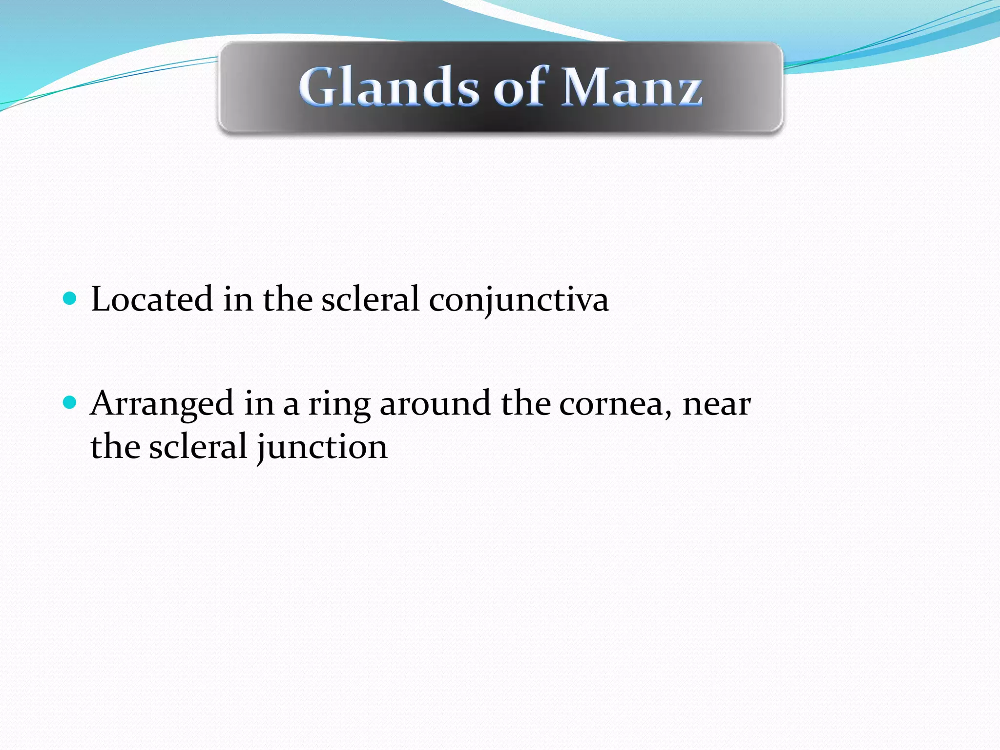 Anatomy of conjunctiva | PPTX