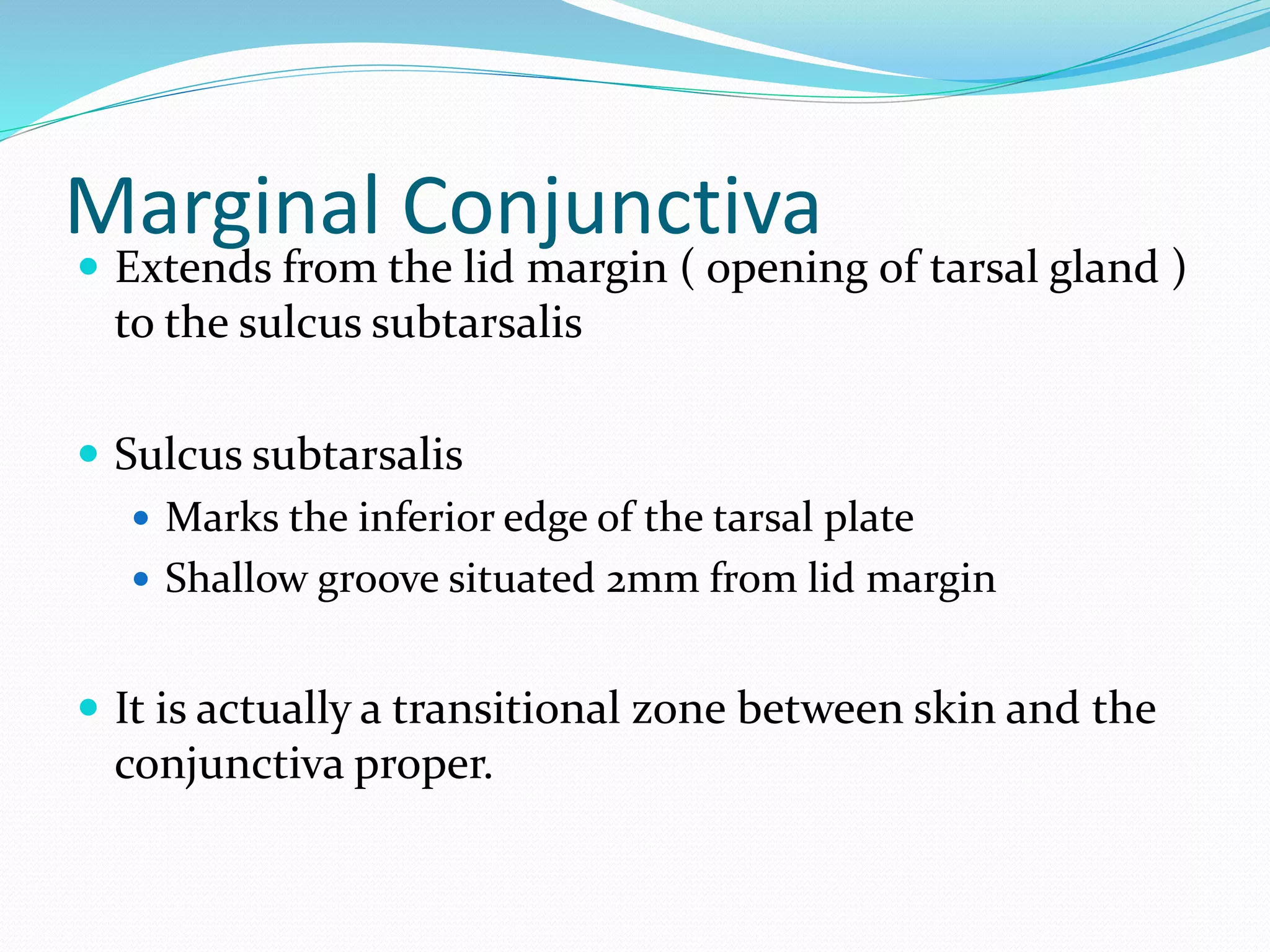 Anatomy of conjunctiva | PPTX