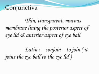 Anatomy of conjunctiva | PPTX