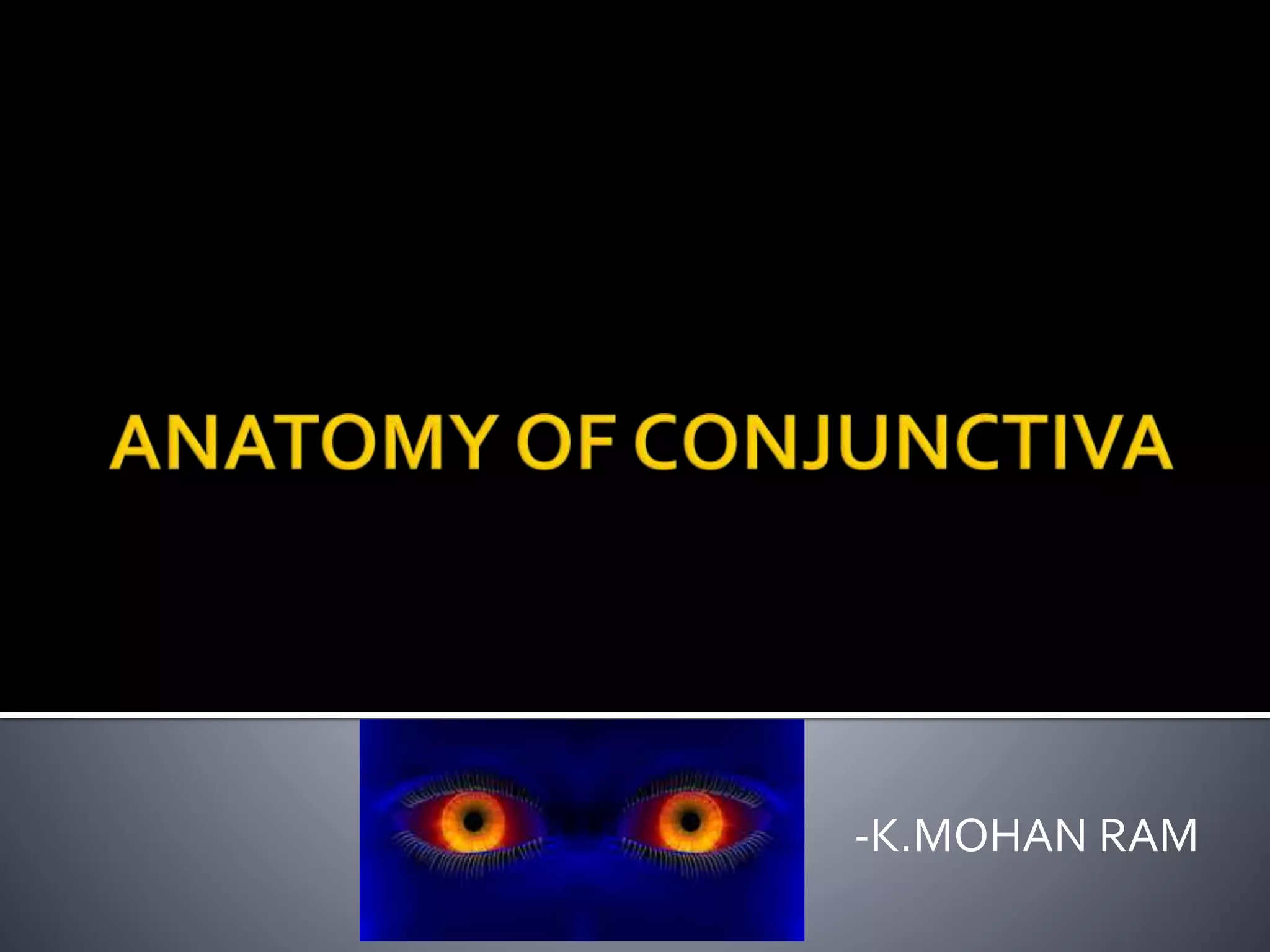 Anatomy of conjunctiva | PPTX