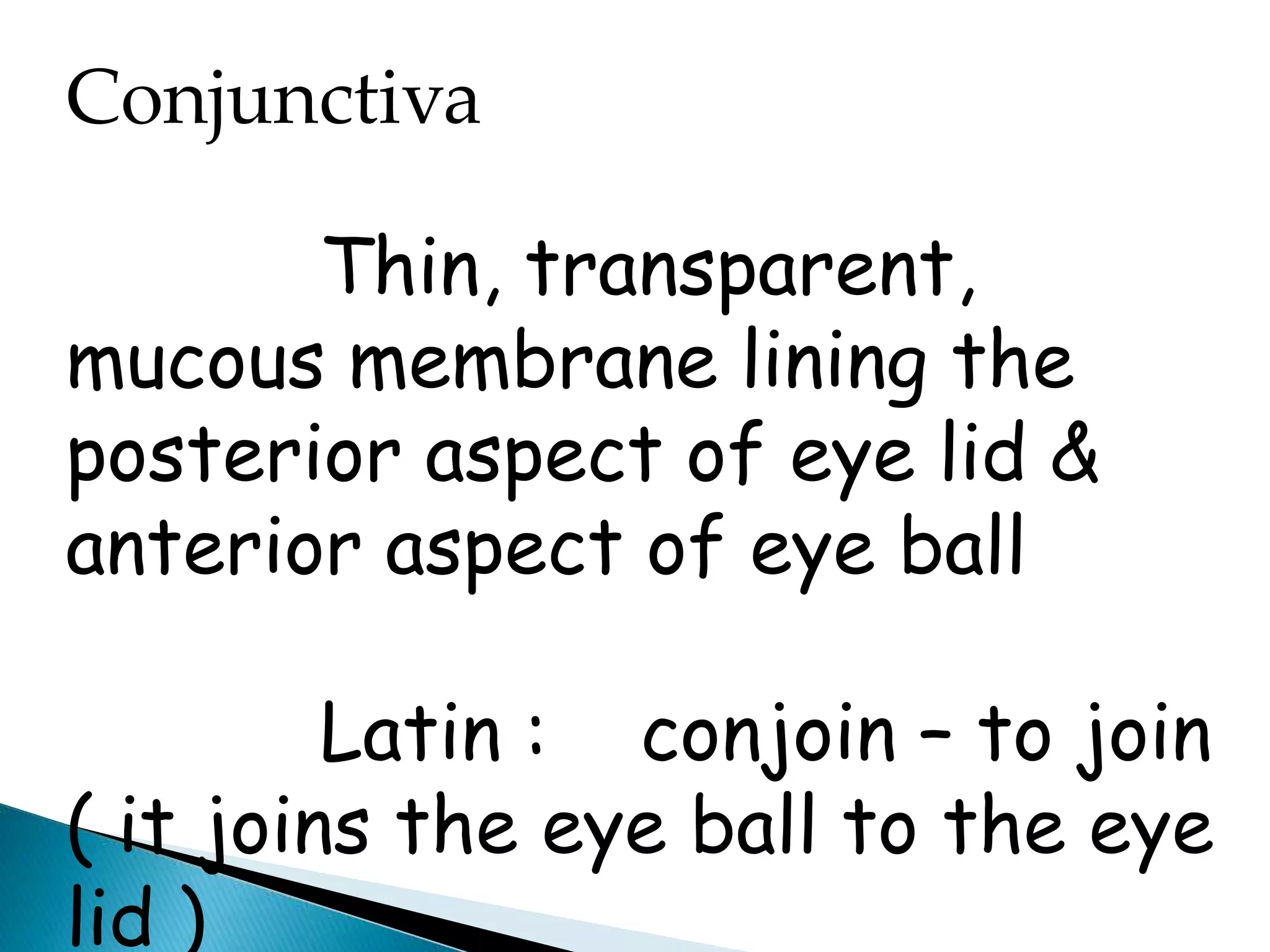 Anatomy of conjunctiva | PPTX