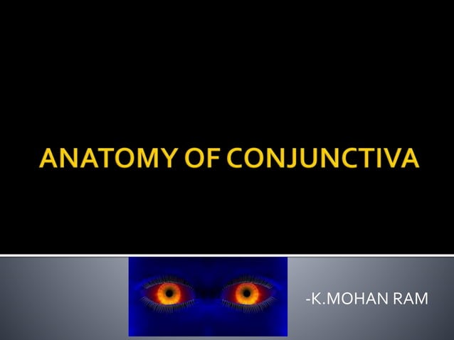 Anatomy of conjunctiva | PPTX | Eye and Vision Conditions | Diseases ...