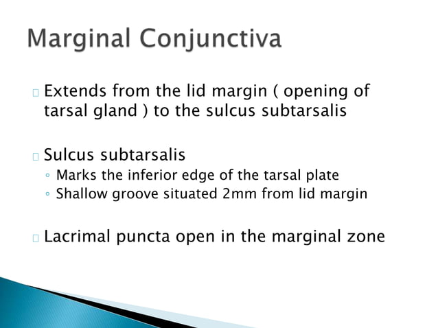 Anatomy of conjunctiva | PPTX | Eye and Vision Conditions | Diseases ...