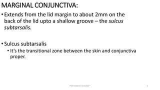 Anatomy of conjunctiva | PPT