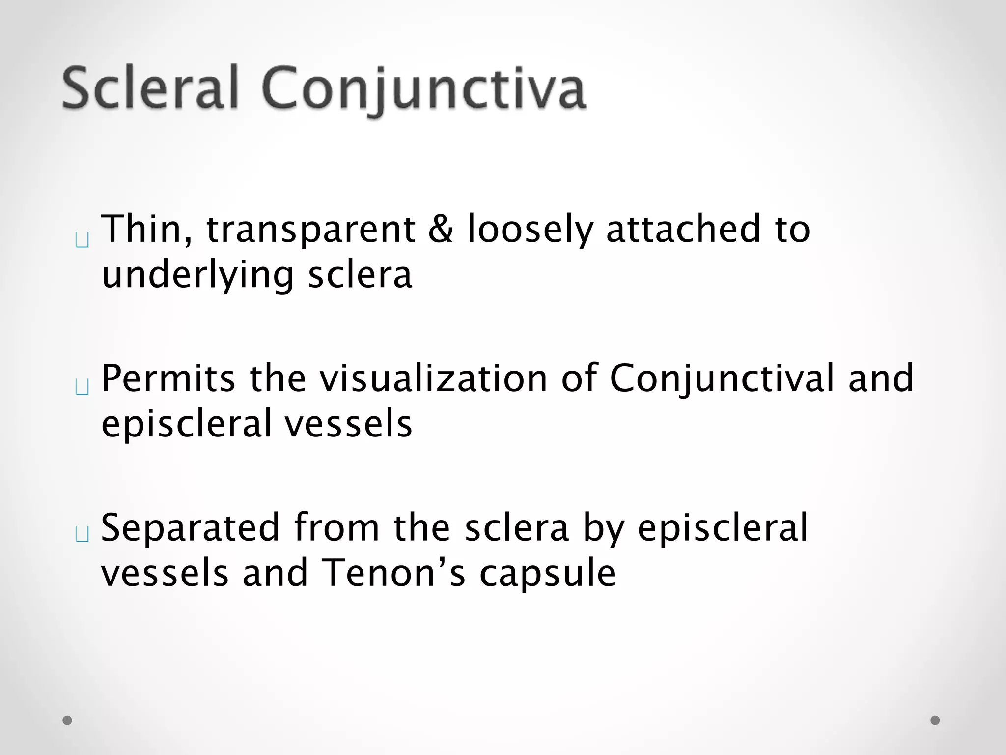 Anatomy of conjunctiva | PPTX