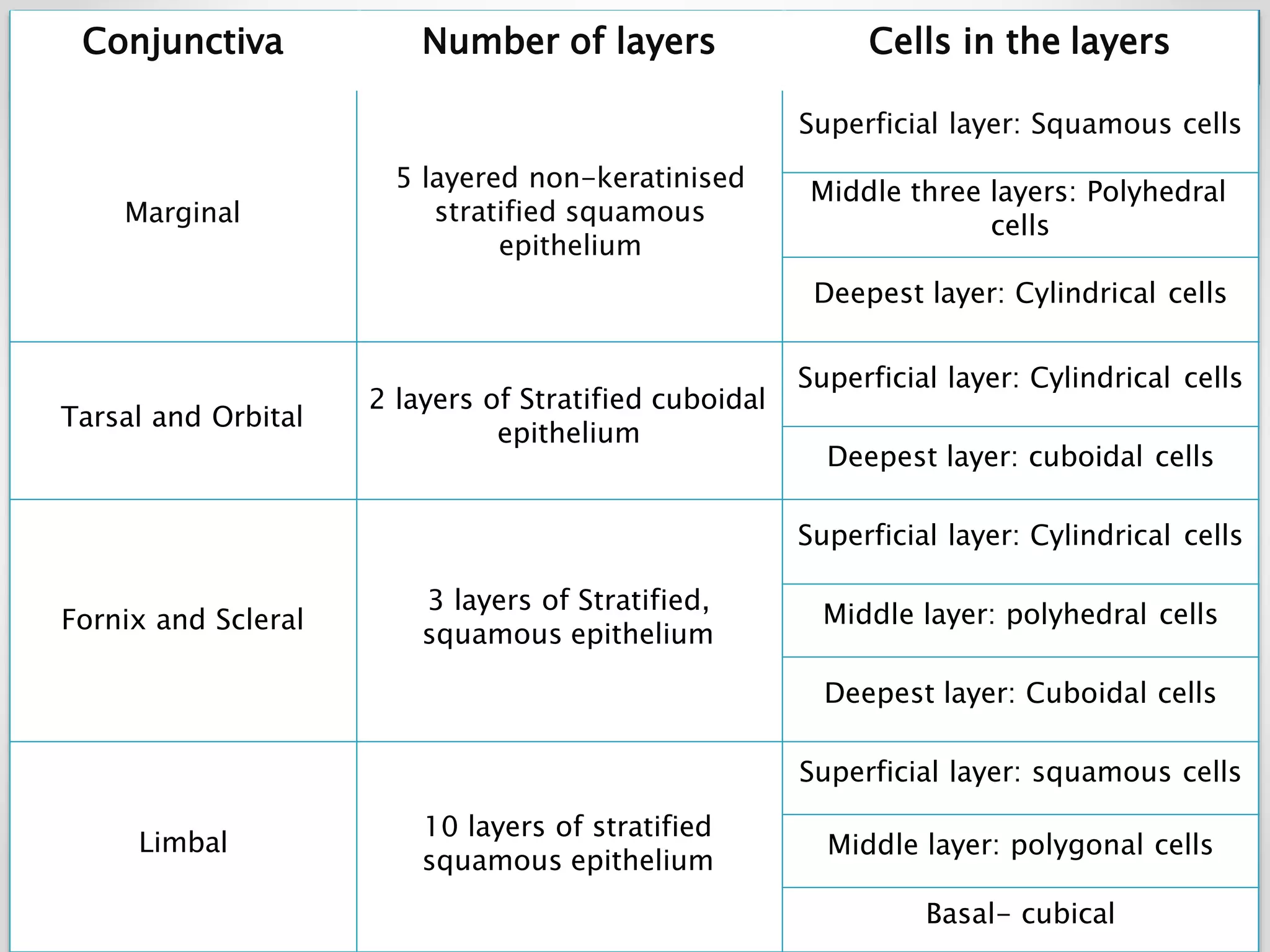 Anatomy of conjunctiva | PPTX