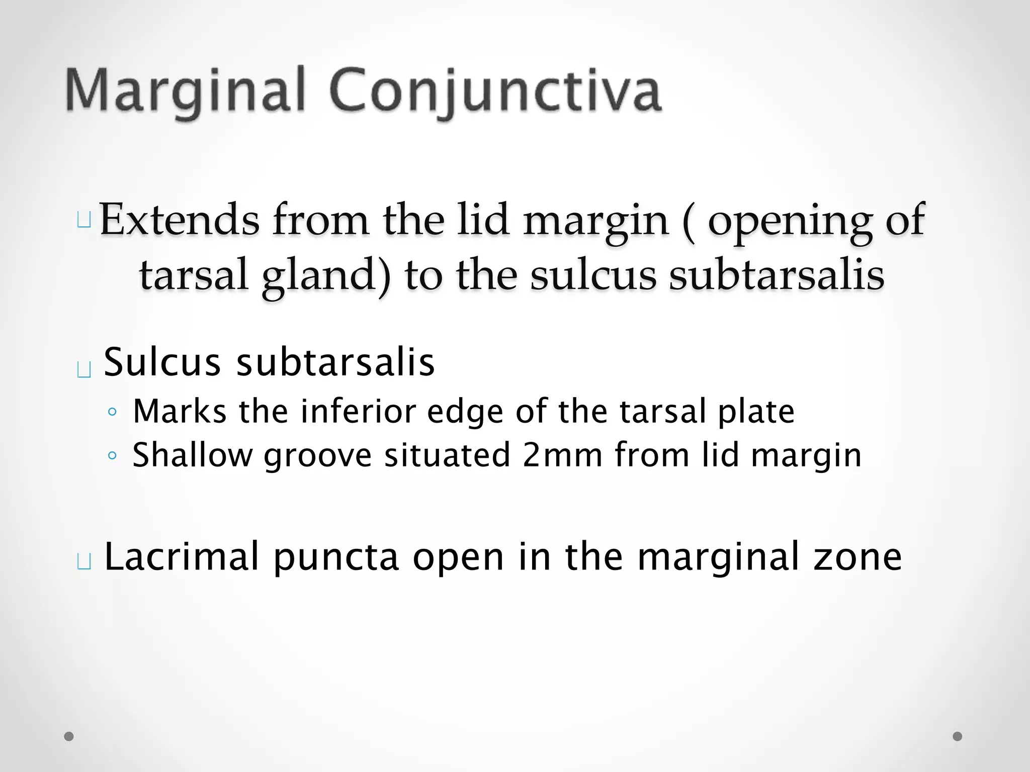 Anatomy of conjunctiva | PPTX