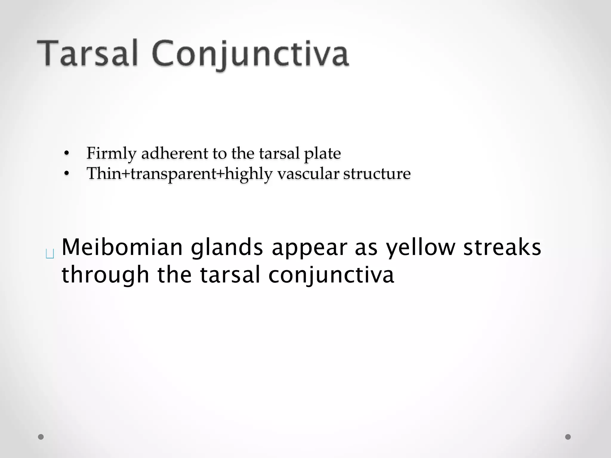 Anatomy of conjunctiva | PPTX