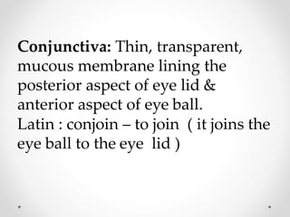 Anatomy of conjunctiva | PPTX