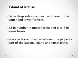 Anatomy of conjunctiva | PPTX