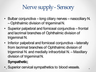 Anatomy of conjunctiva | PPTX