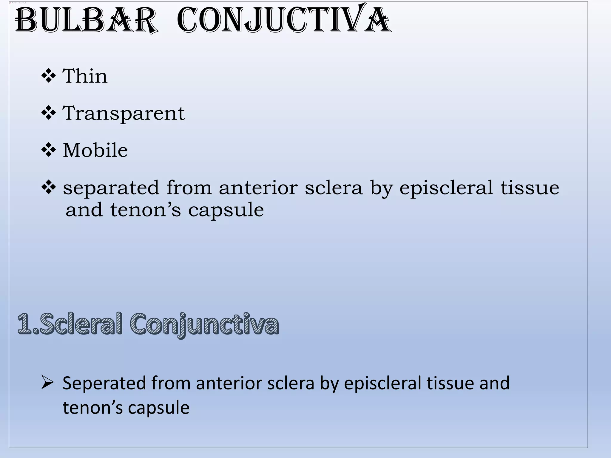 Anatomy of conjunctiva | PDF