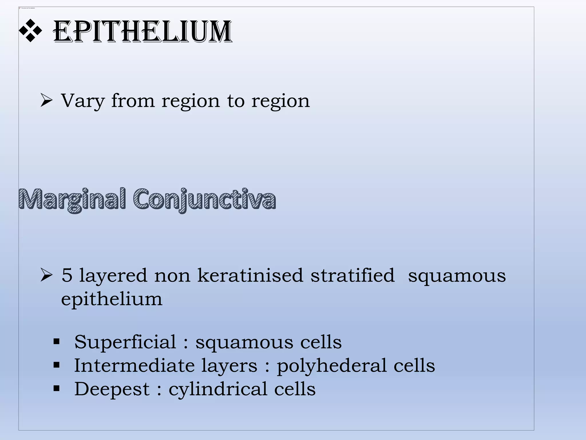 Anatomy of conjunctiva | PDF