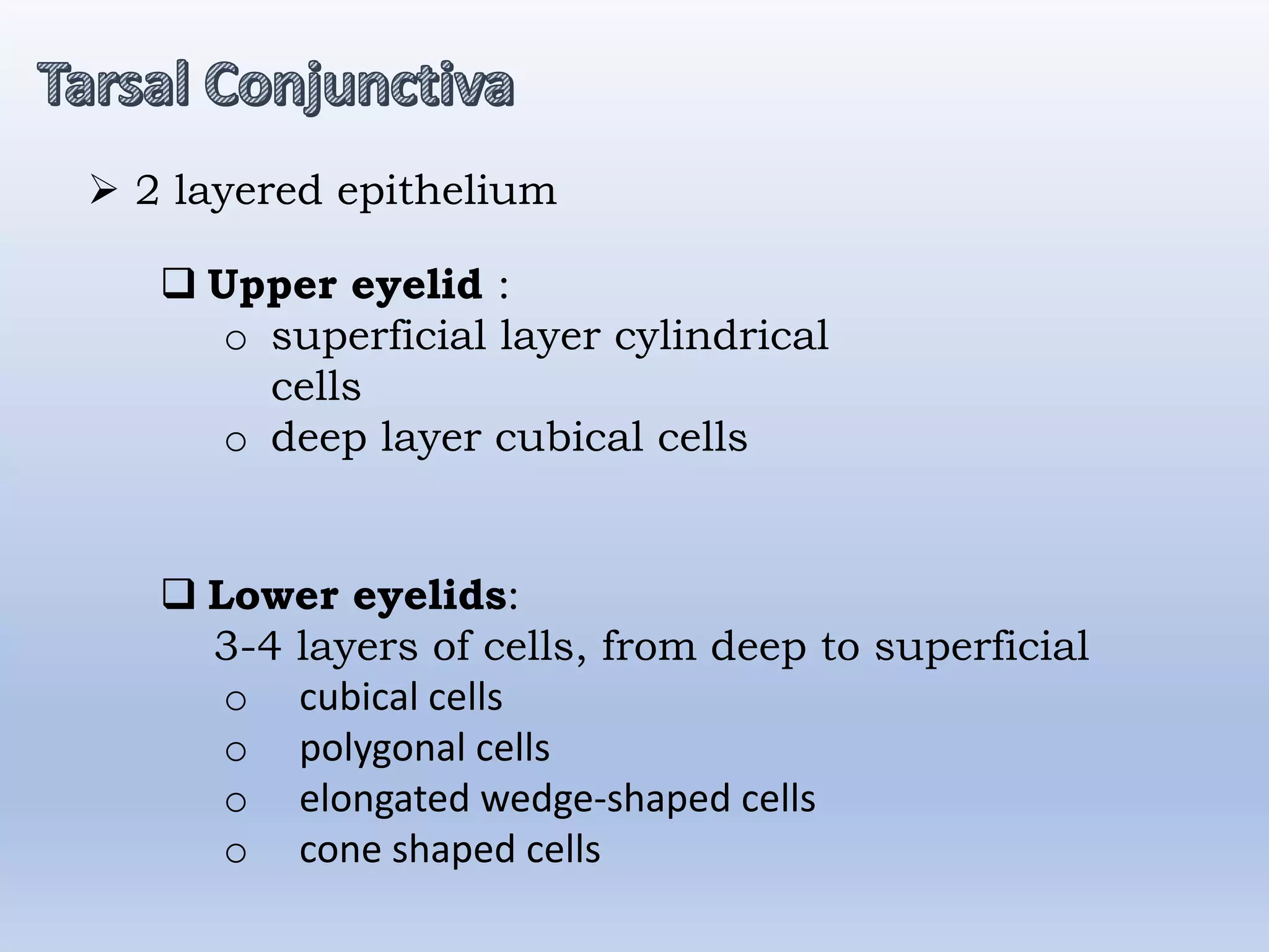Anatomy of conjunctiva | PDF