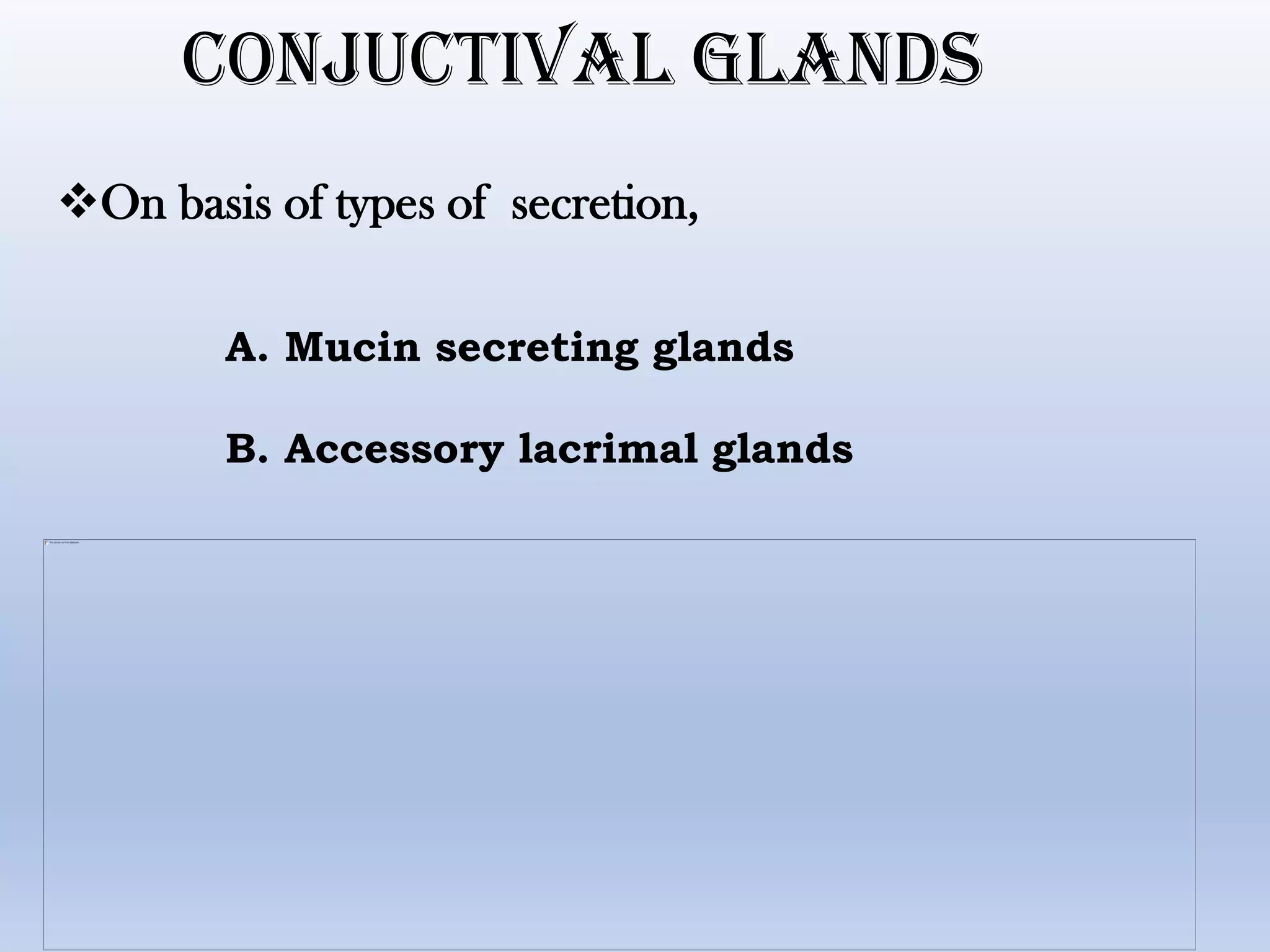 Anatomy of conjunctiva | PDF