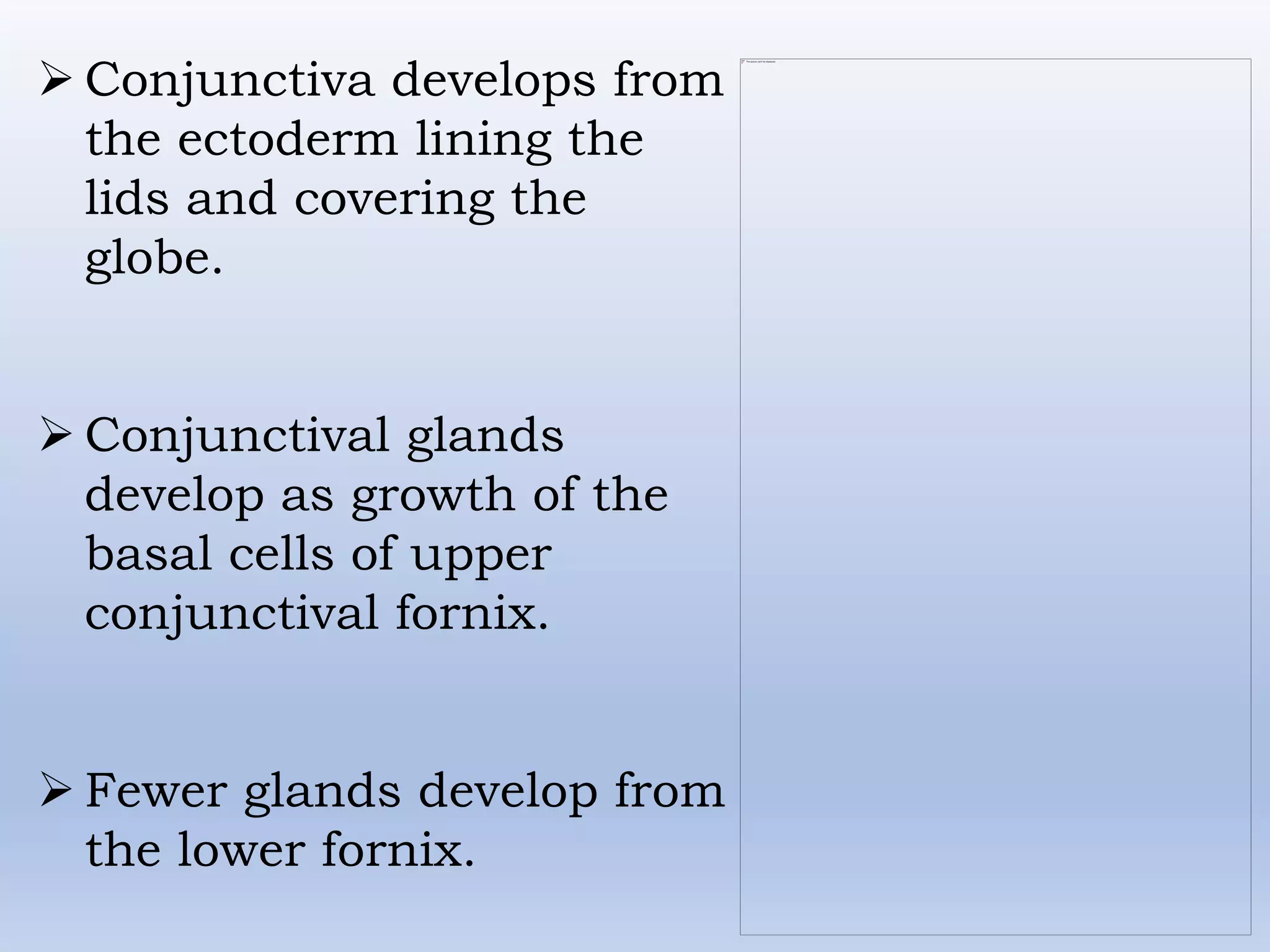 Anatomy of conjunctiva | PDF