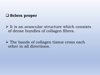 Anatomy of conjunctiva | PDF