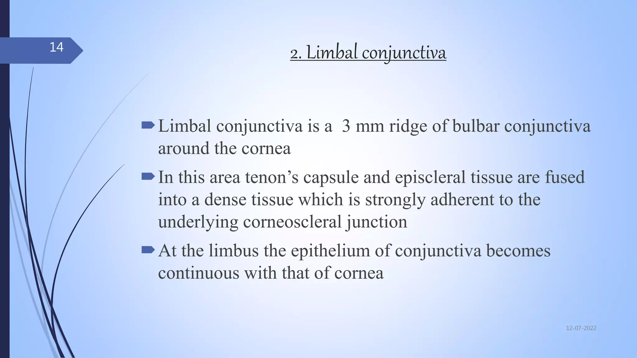 Anatomy of Conjunctiva.pptx
