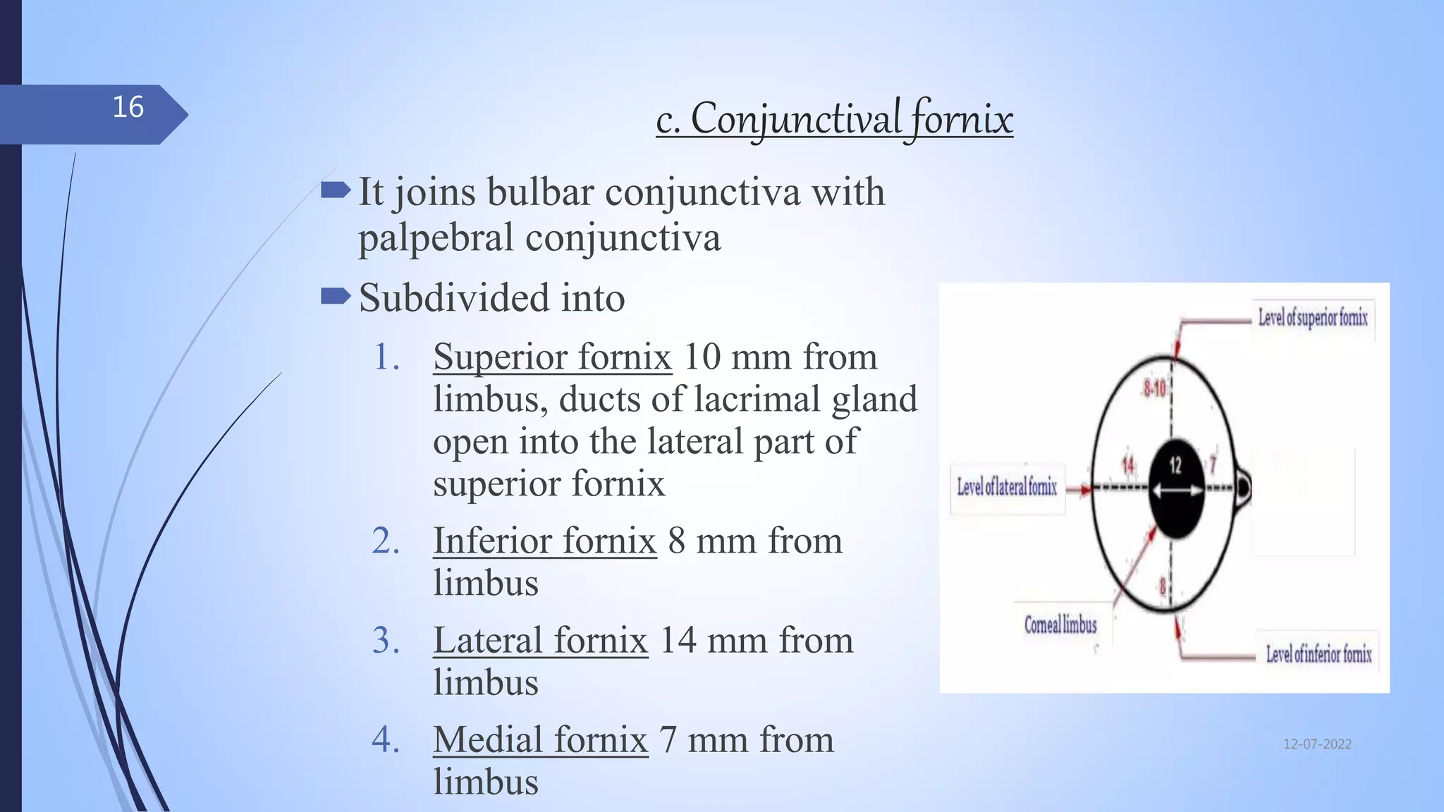 Anatomy of Conjunctiva.pptx