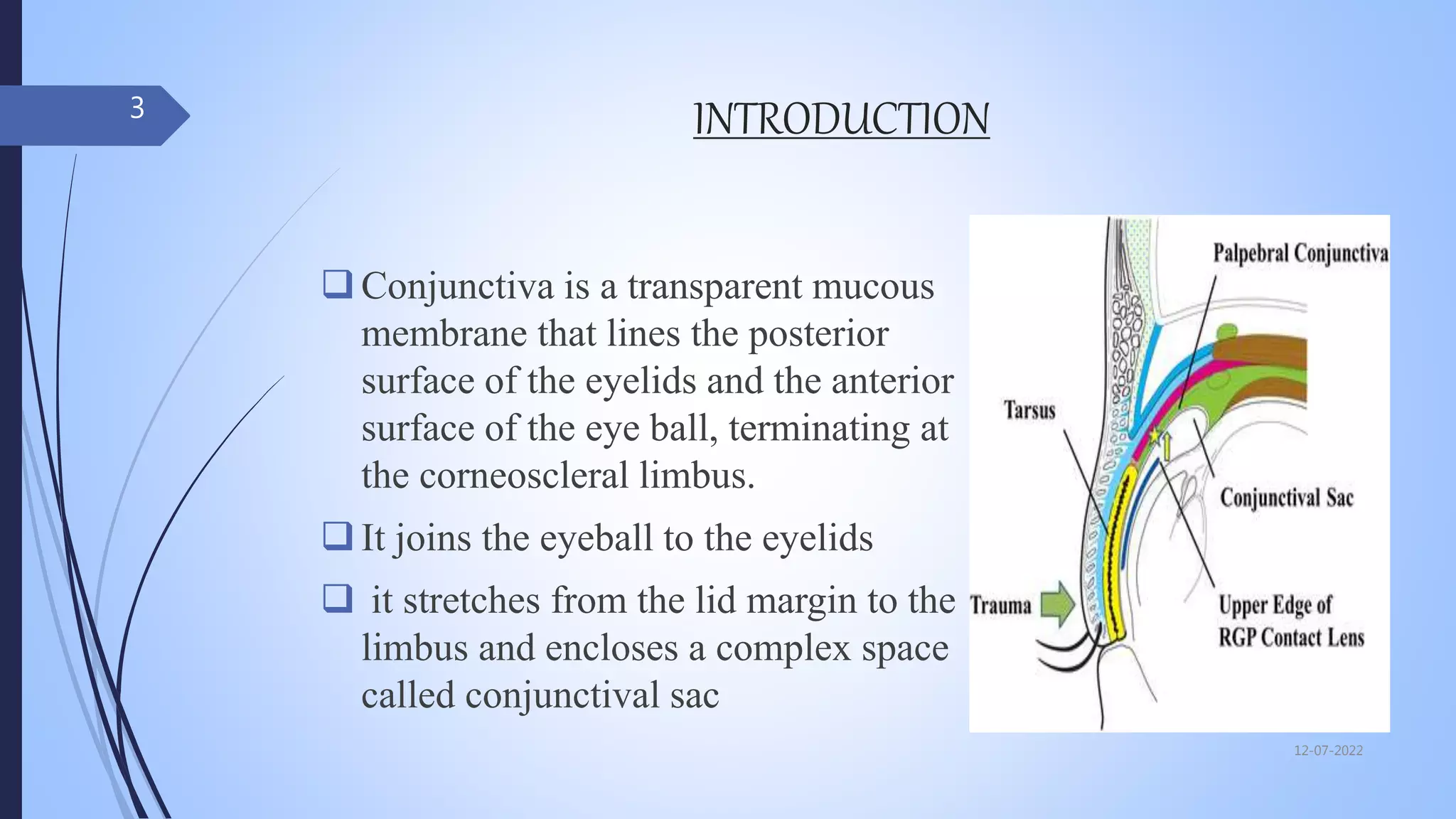 Anatomy of Conjunctiva.pptx