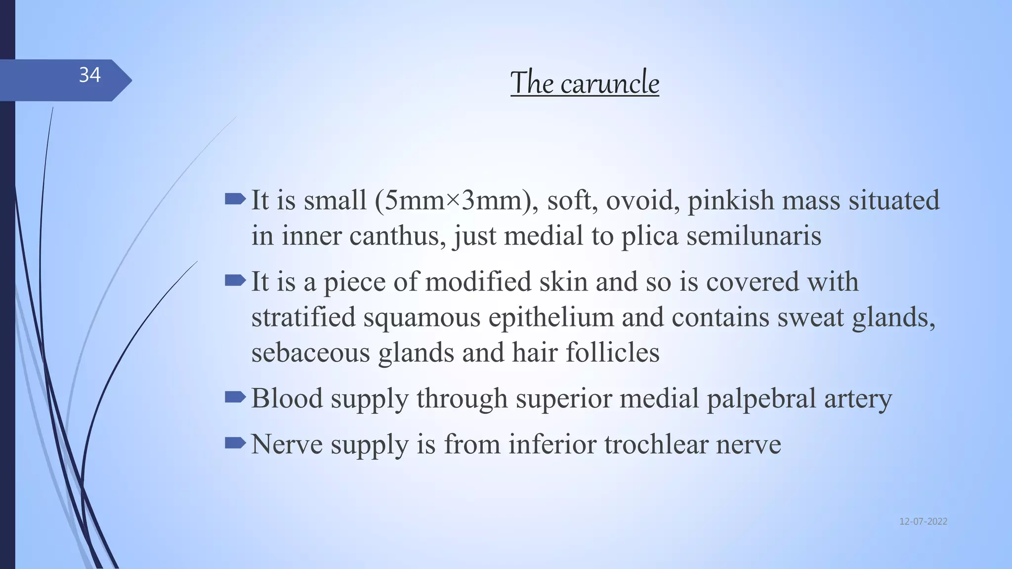 Anatomy of Conjunctiva.pptx