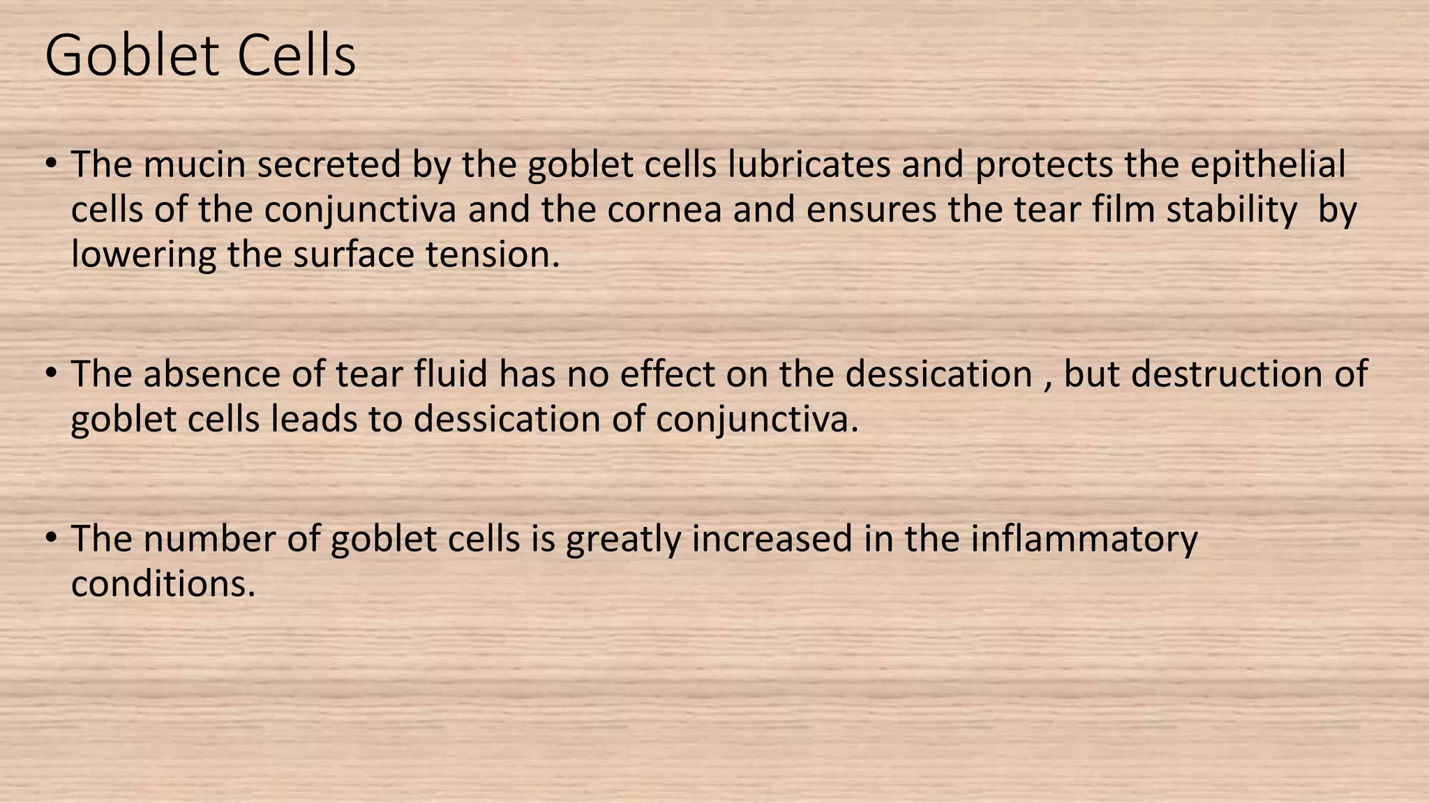 Anatomy of Conjunctiva.pptx