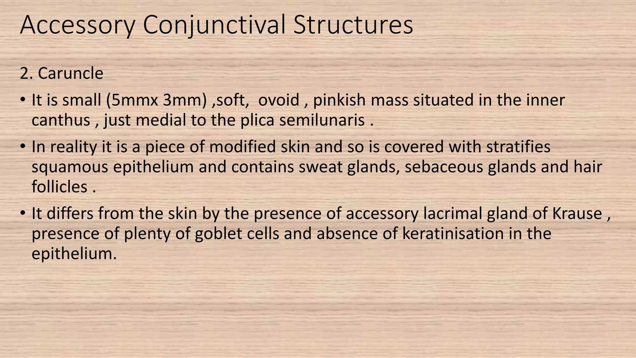 Anatomy of Conjunctiva.pptx