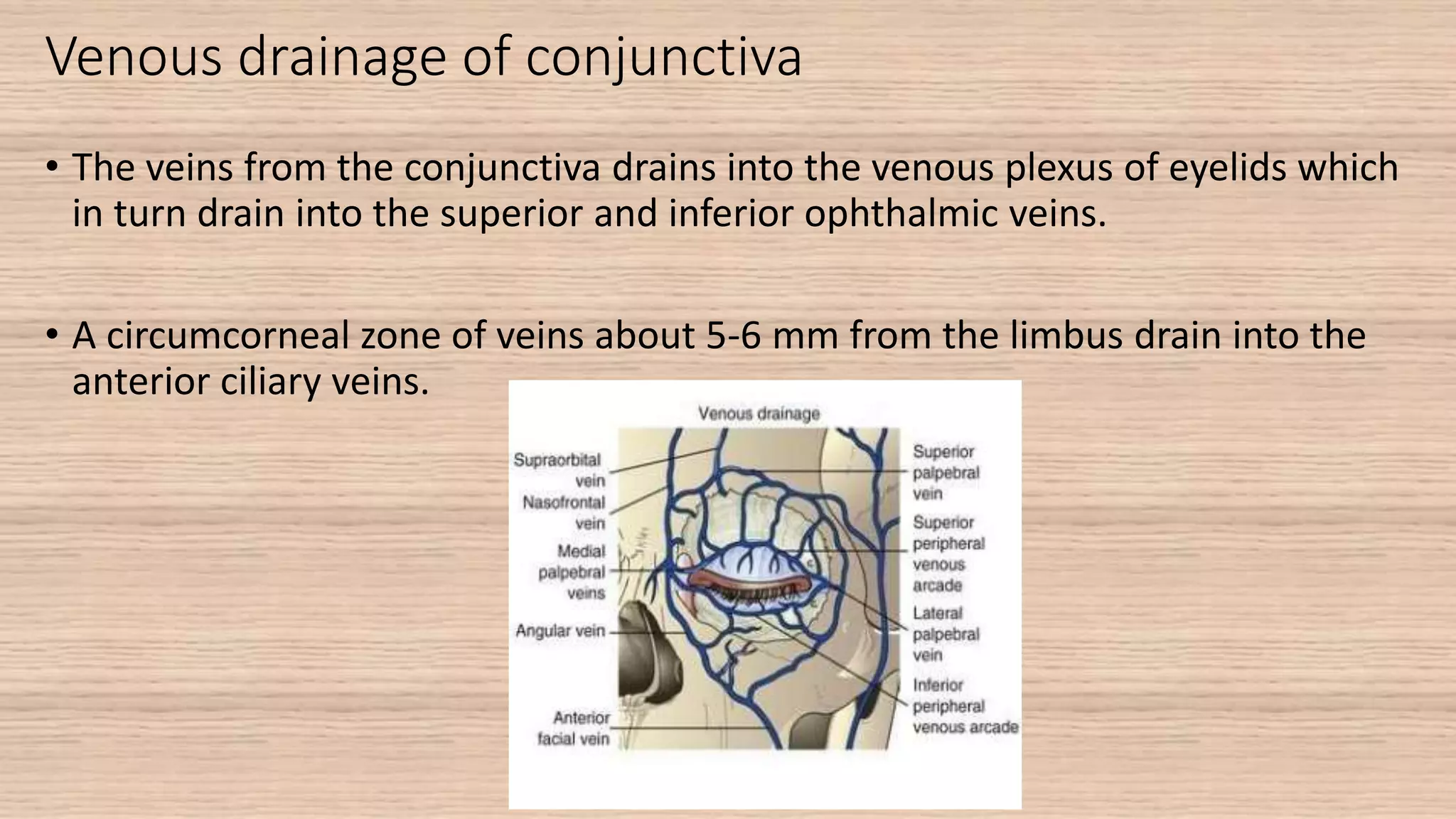Anatomy of Conjunctiva.pptx