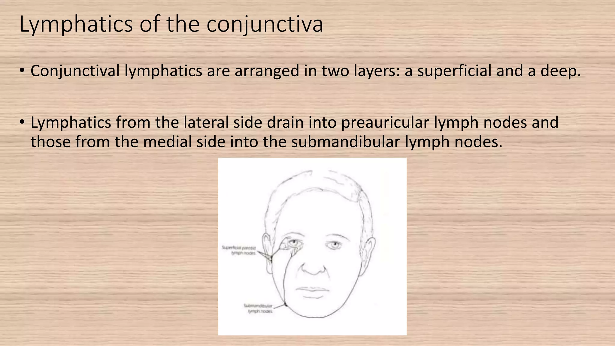 Anatomy of Conjunctiva.pptx