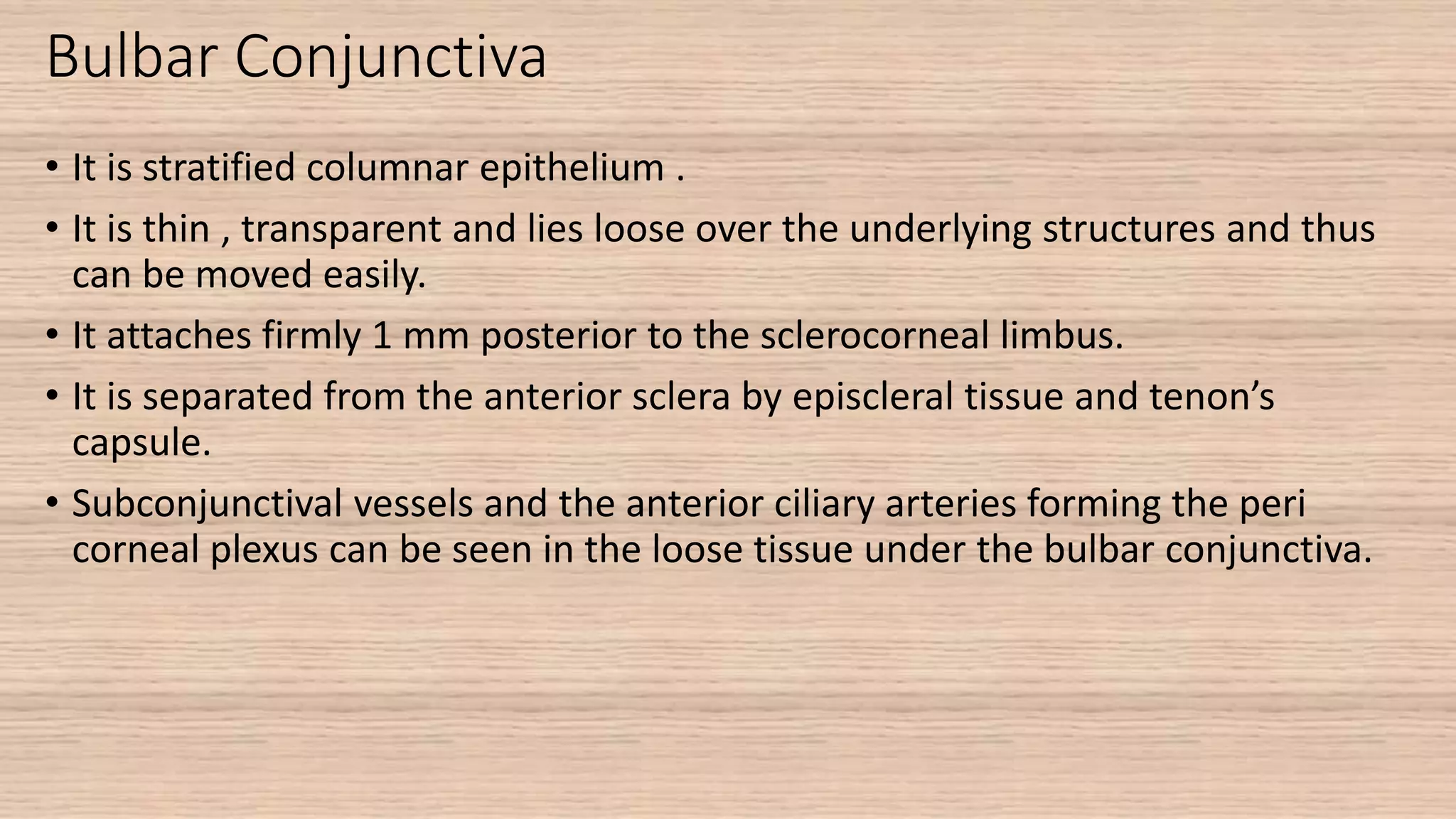 Anatomy of Conjunctiva.pptx