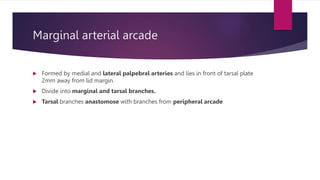 ANATOMY OF CONJUNCTIVA.pptx