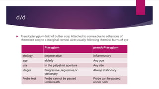 ANATOMY OF CONJUNCTIVA.pptx