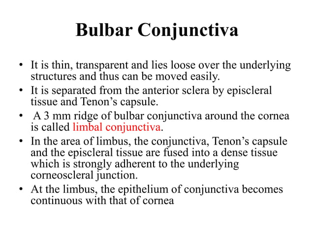 Anatomy of conjunctiva.pptx