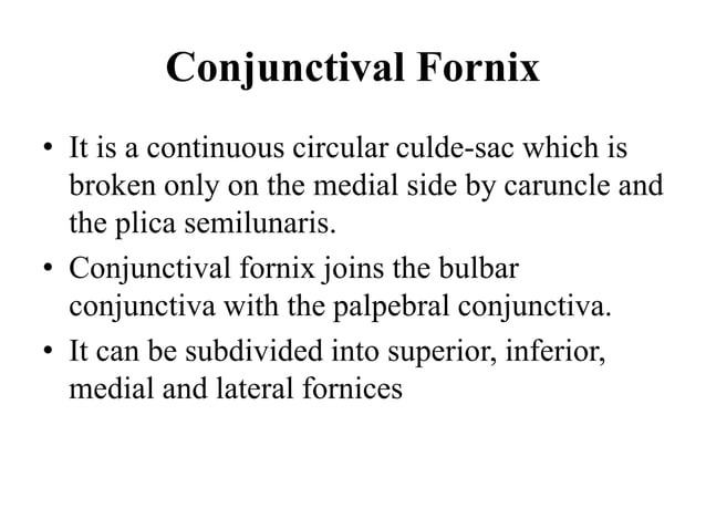 Anatomy of conjunctiva.pptx
