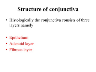 Anatomy of conjunctiva.pptx