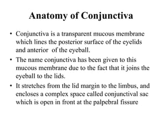 Anatomy of conjunctiva.pptx