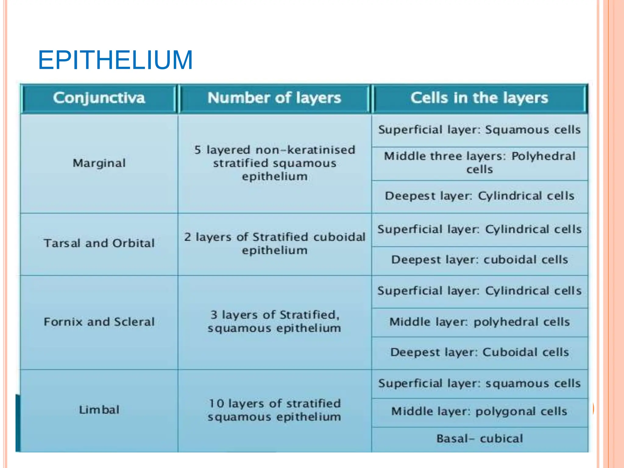 anatomy and pathophysiology of conjunctiva.pptx