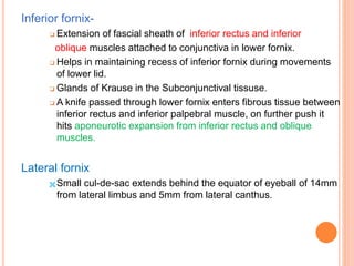 anatomy and pathophysiology of conjunctiva.pptx