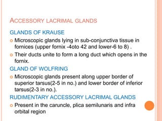 anatomy and pathophysiology of conjunctiva.pptx