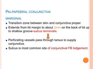 anatomy and pathophysiology of conjunctiva.pptx