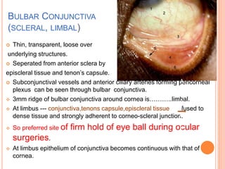 anatomy and pathophysiology of conjunctiva.pptx