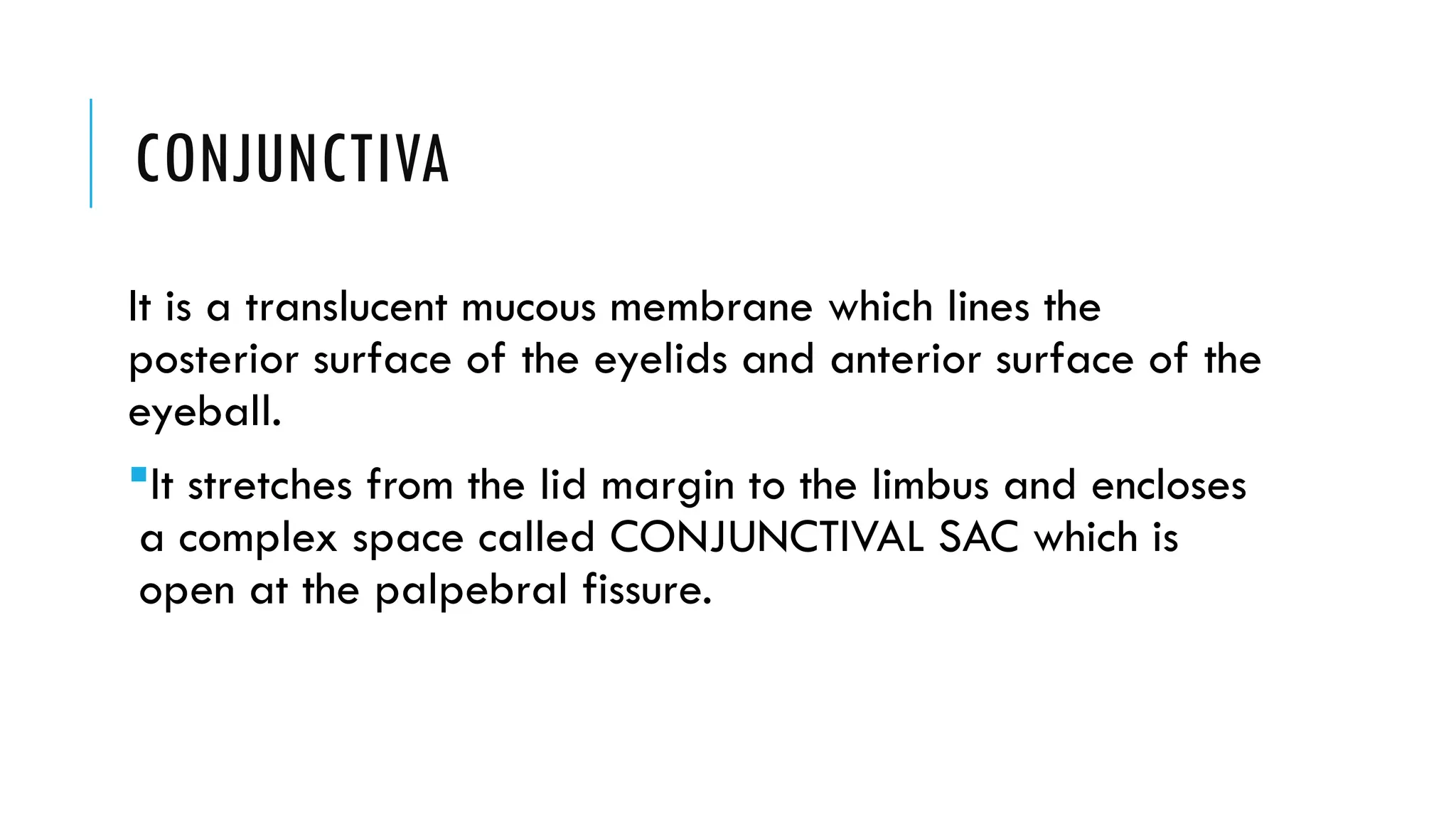 ANATOMY OF CONJUNCTIVA.pptx anatomymymymymymymymym | PPTX