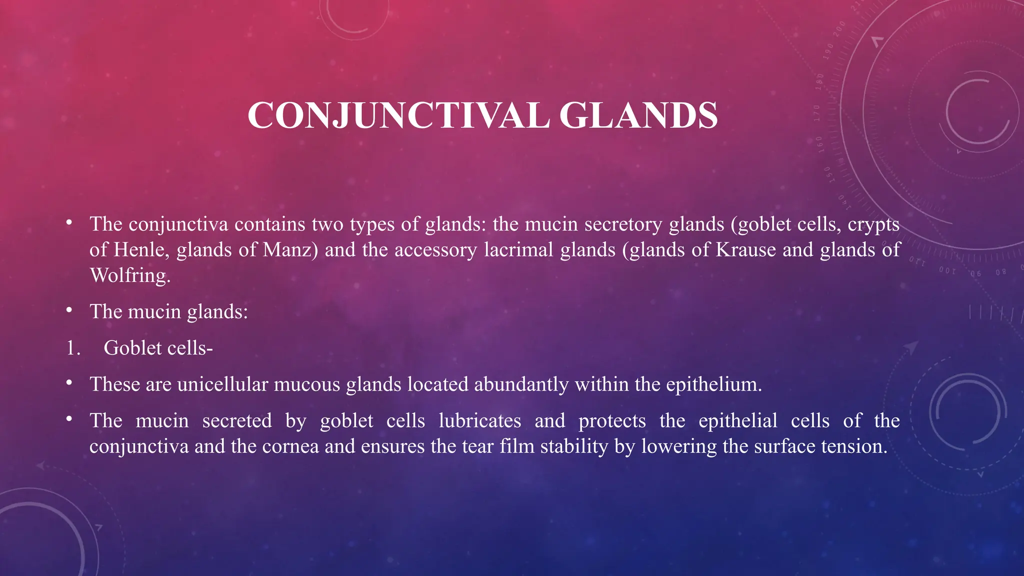 Conjunctiva: Anatomy, Physiology, and Clinical Significance | PPTX