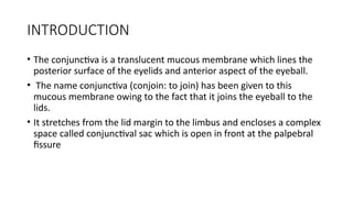 ANATOMY OF CONJUNCTIVA ( a brief account) | PPTX