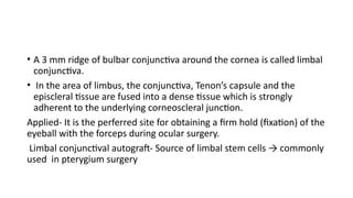 ANATOMY OF CONJUNCTIVA ( a brief account) | PPTX
